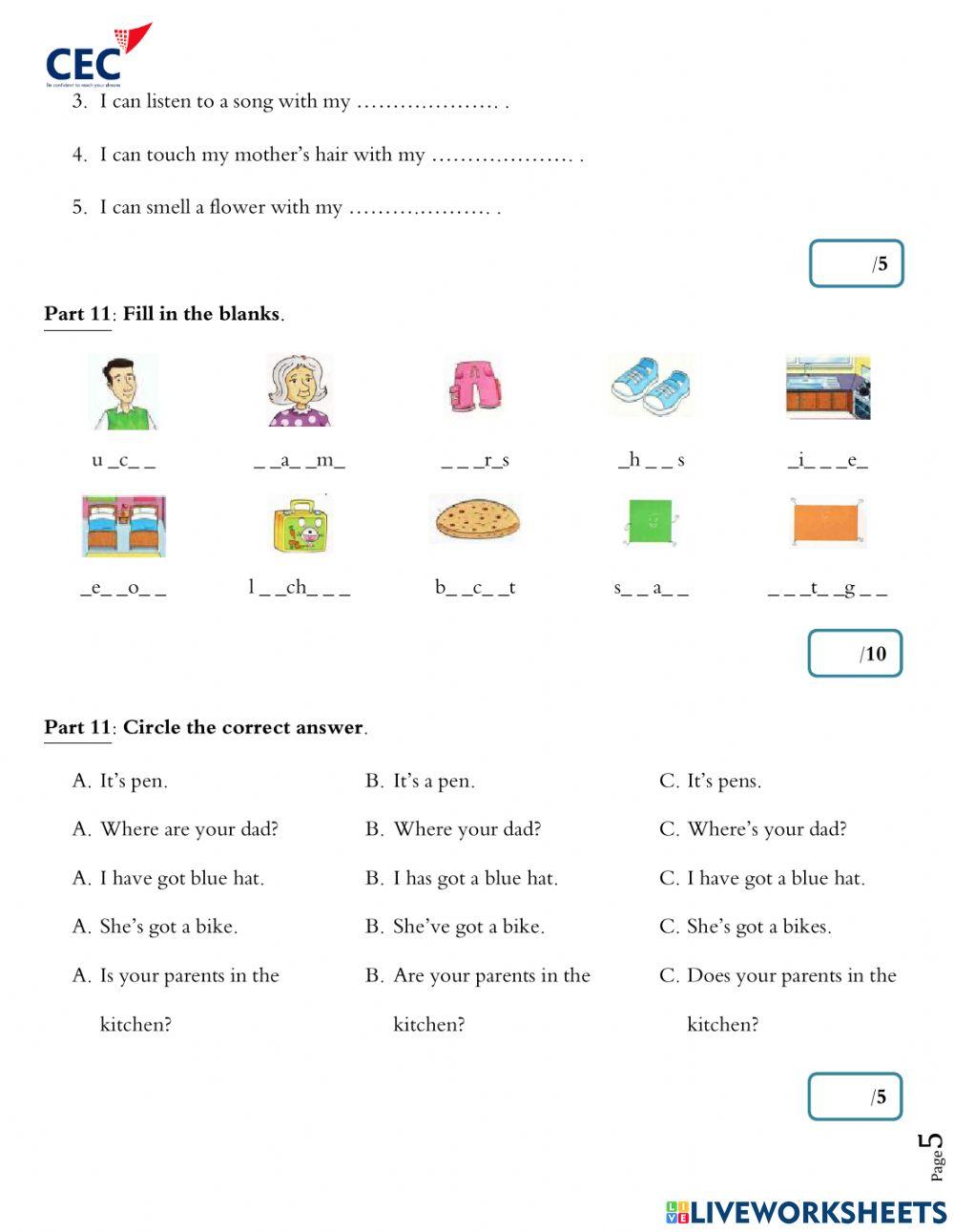 ES1 Grammar 2 worksheet | Live Worksheets