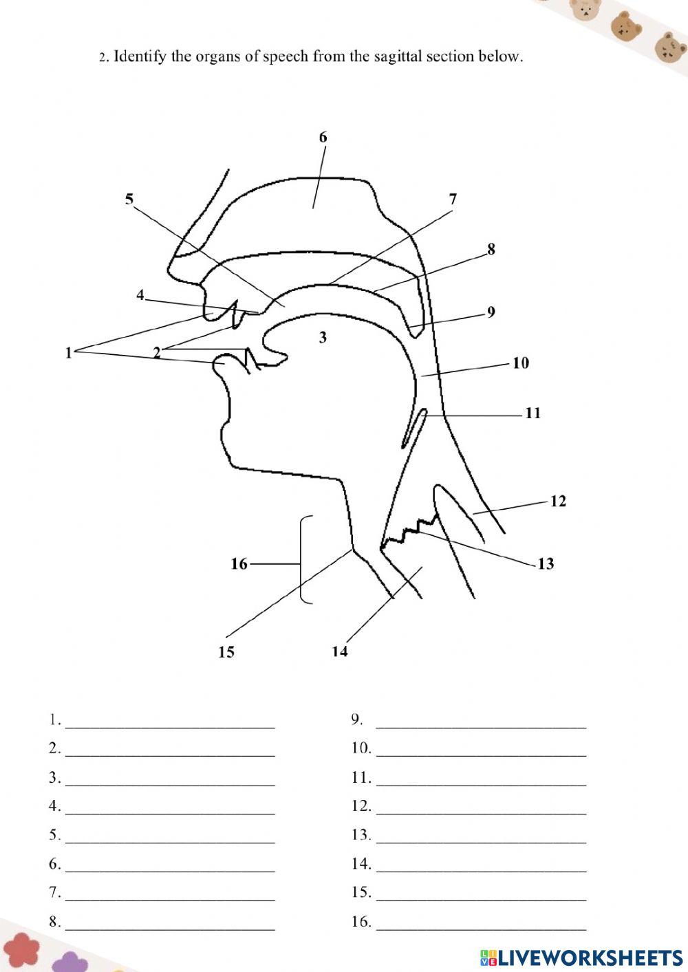 drop online exercise for | Live Worksheets