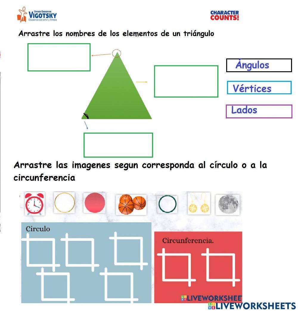 Triángulo y círculo interactive worksheet | Live Worksheets