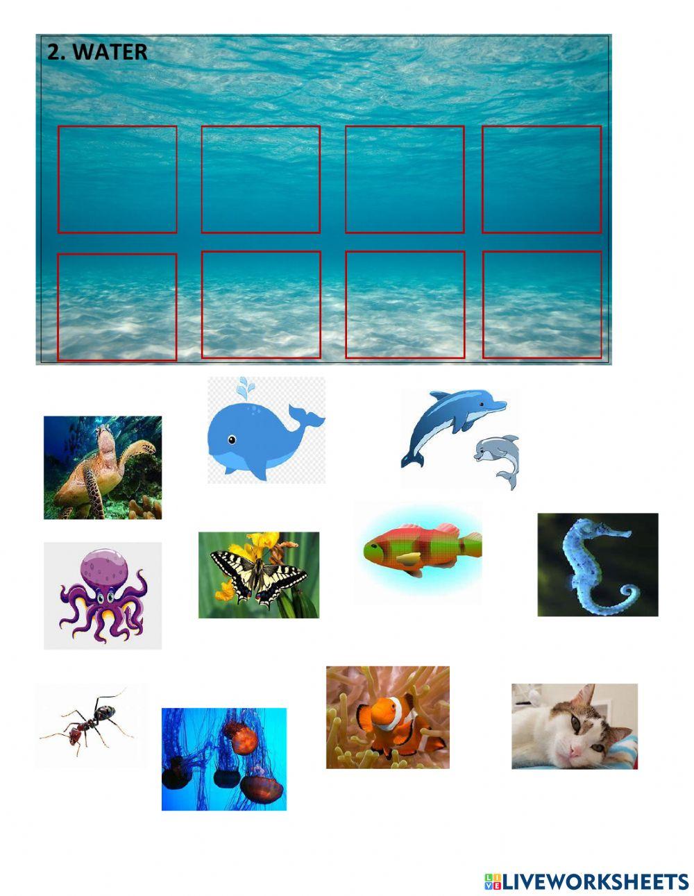 Nursery science 3rd Monthly exam online exercise for | Live Worksheets