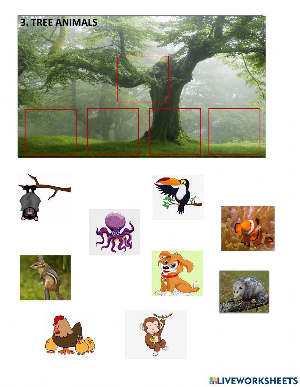 Nursery science 3rd Monthly exam online exercise for | Live Worksheets