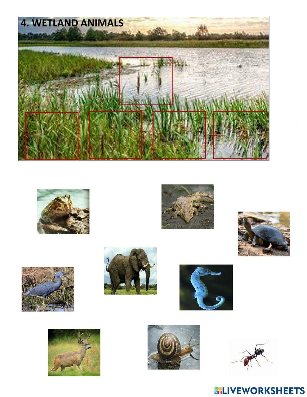 Nursery science 3rd Monthly exam online exercise for | Live Worksheets