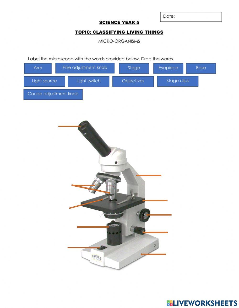 Micro-organisms 1788718 | Effarayyan | Live Worksheets