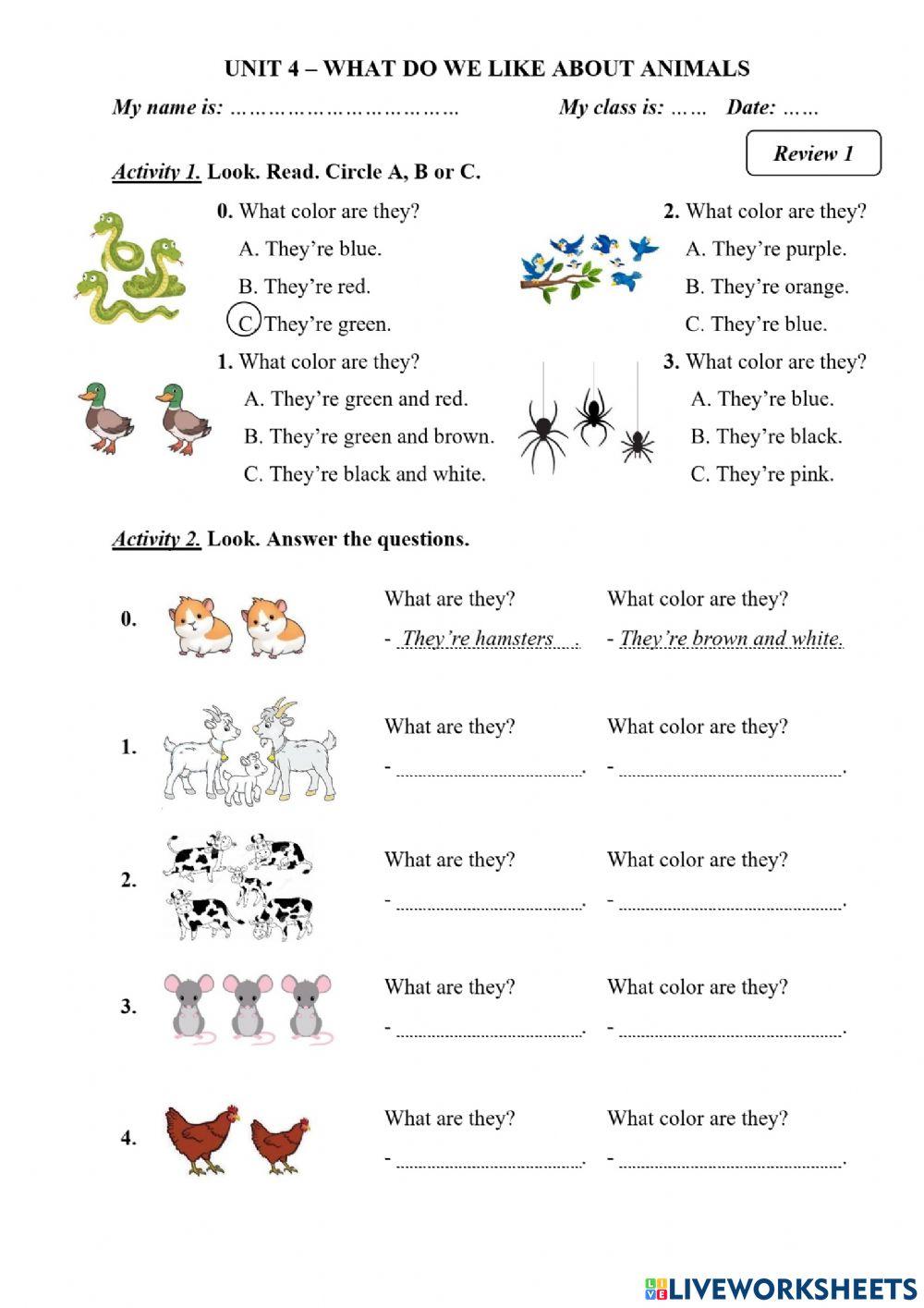 Unit 4-Review 1 worksheet | Live Worksheets