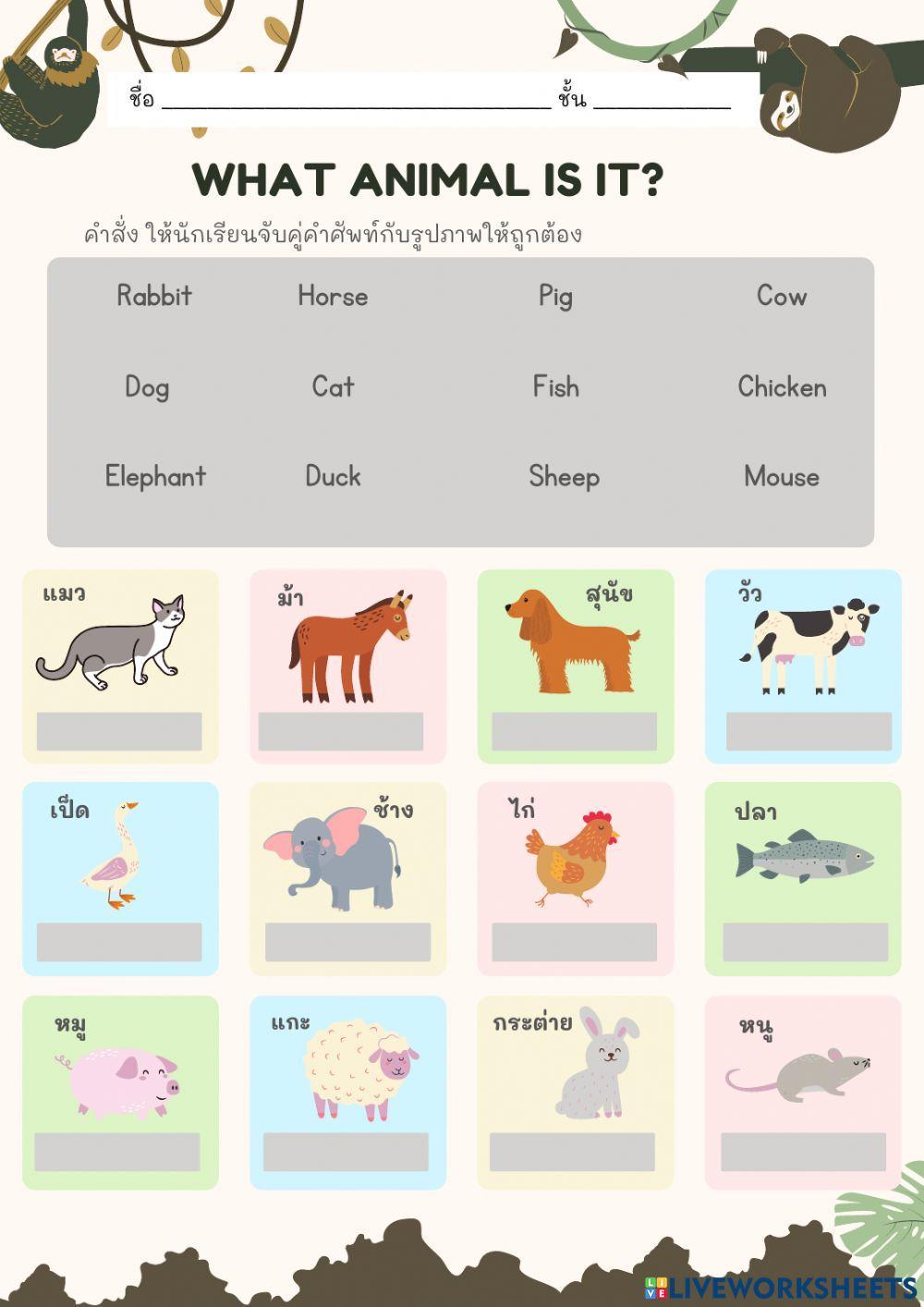 What animal is it? 1789187 | Chanidapha | Live