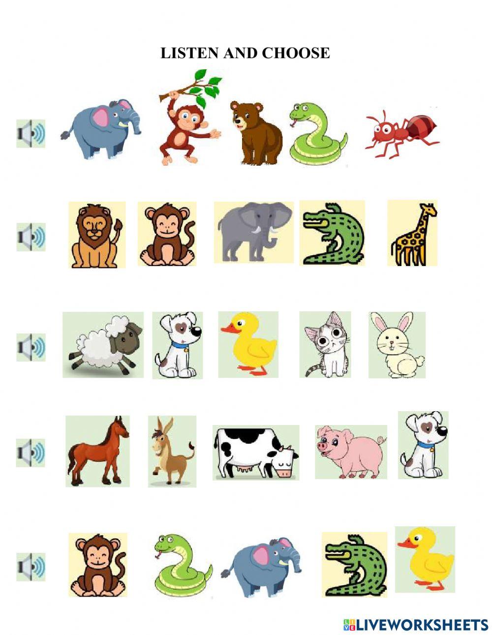 2672657 | GRADE 1 - ANIMALS - LISTEN AND CHOOSE (NGHE VÀ