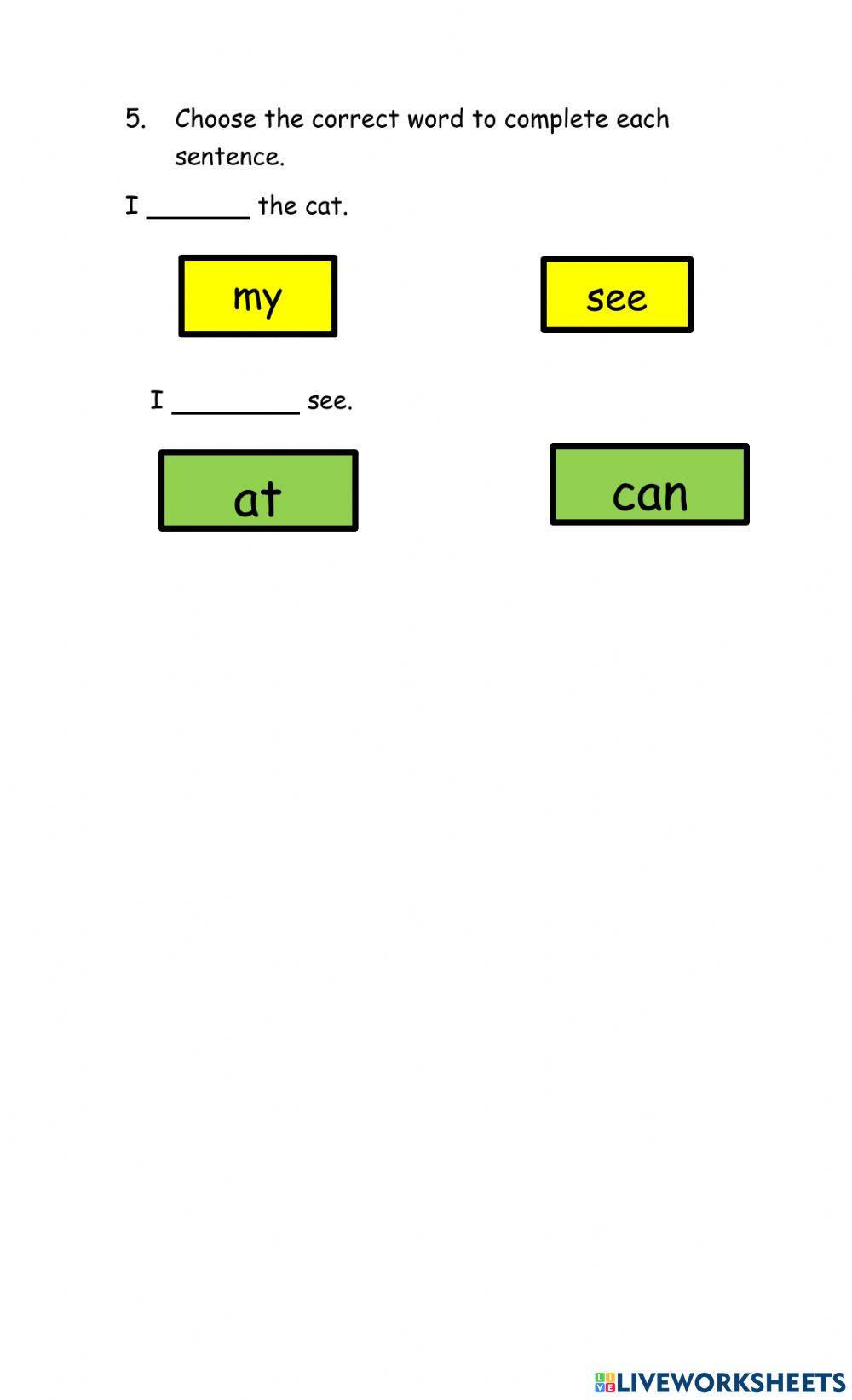 Preschool Review Sheet worksheet | Live Worksheets