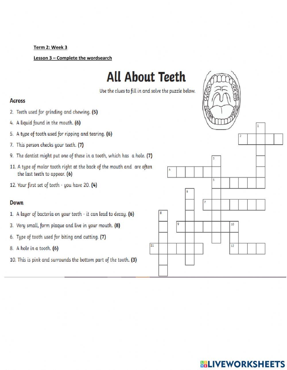 Science Week 3 lesson 3 interactive worksheet | Live Worksheets