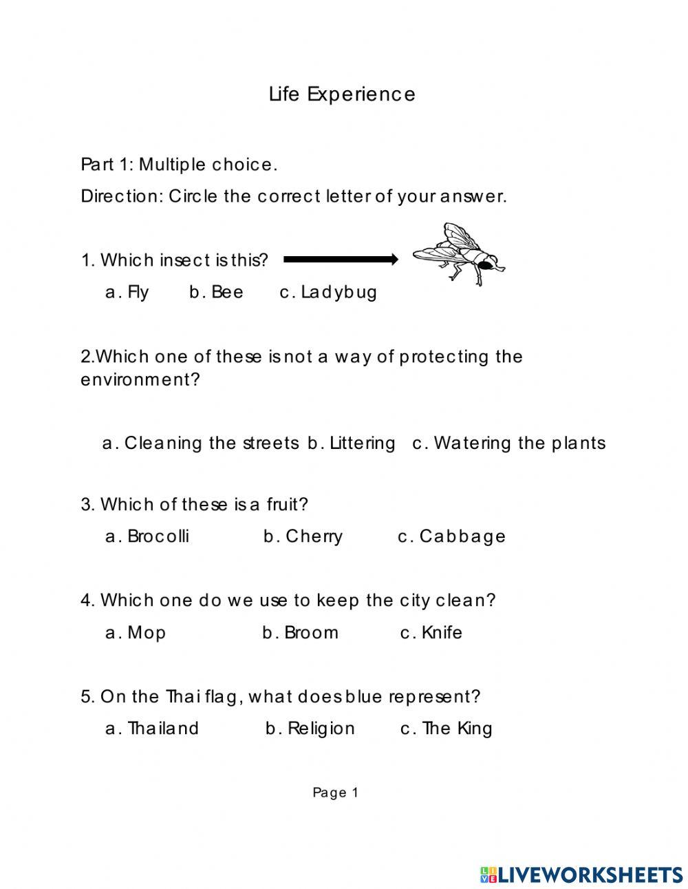 4161117 | Life Experience Assessment | Ann Wanjiku