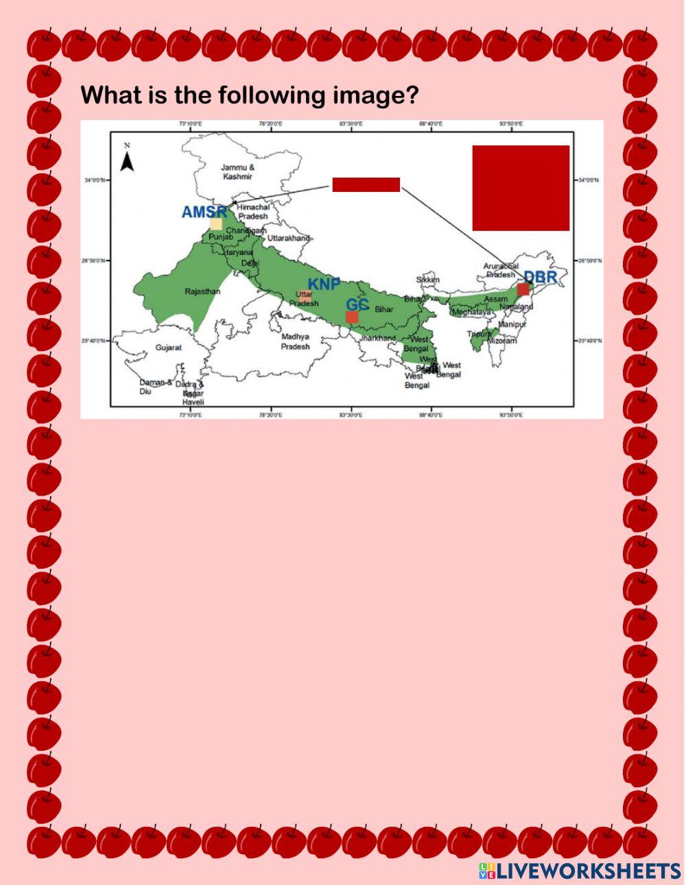 India online exercise for | Live Worksheets