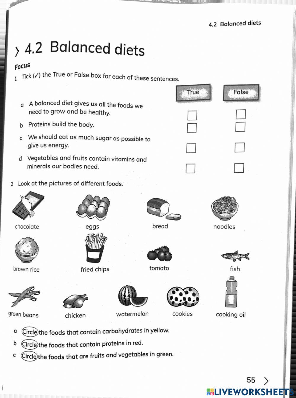 Science class work 6811491 | AngellaK | Live Worksheets