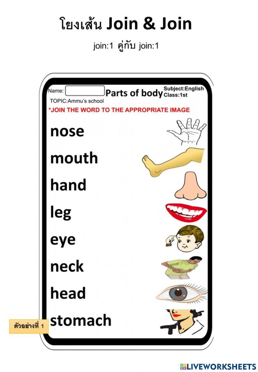 worksheet body1 | danuporn | Live Worksheets