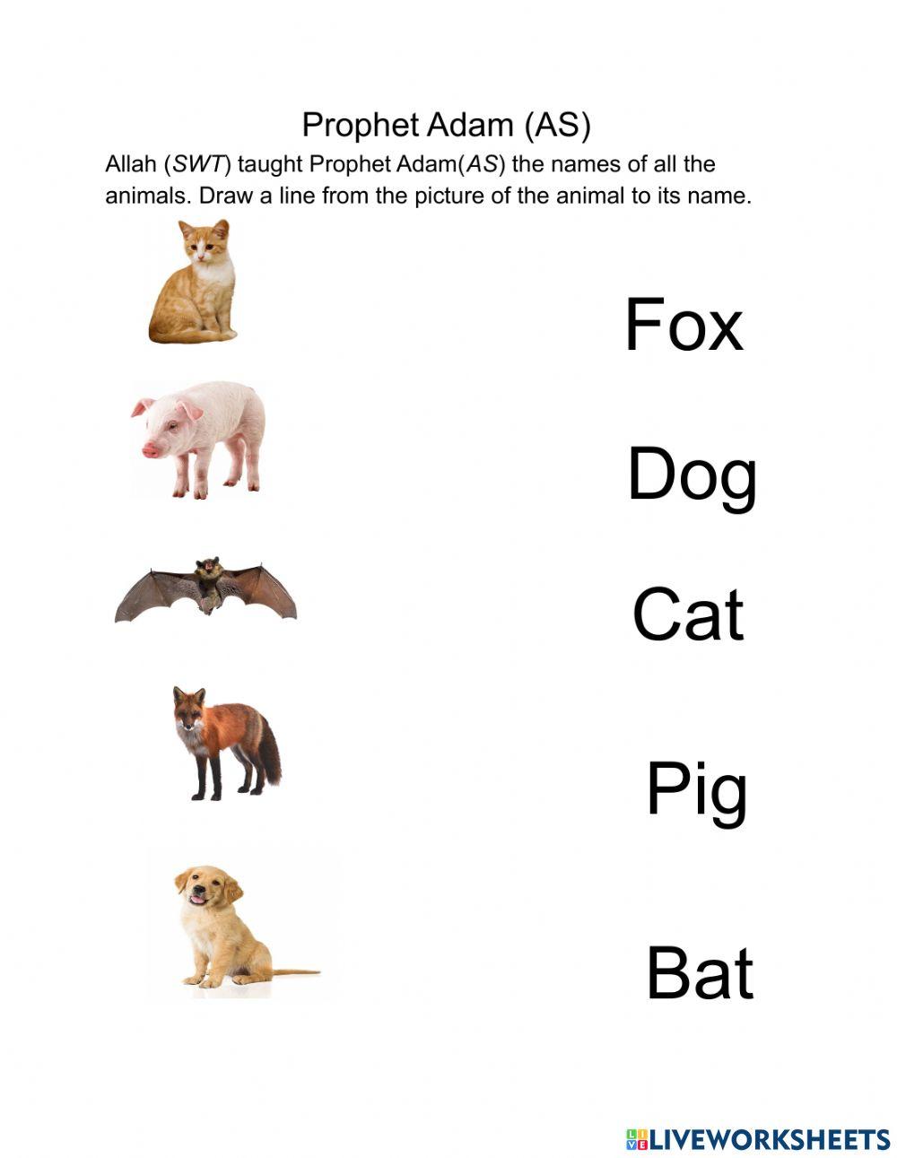 Prophet Adam | Free Interactive Worksheets | 1794939