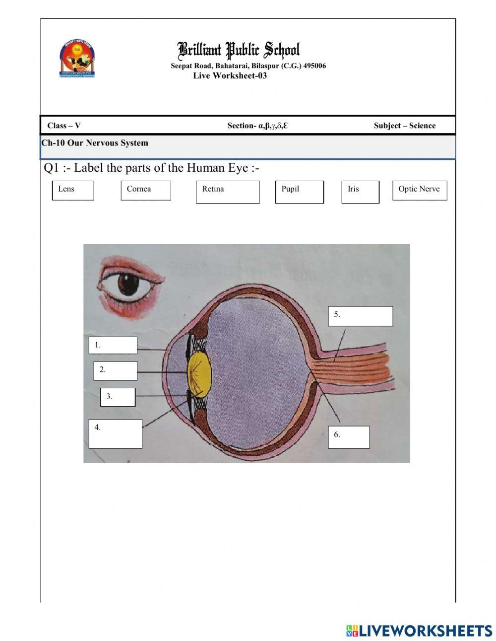 Live Worksheet 03 worksheet | Live Worksheets
