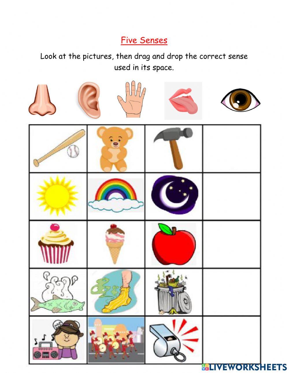 The Five Senses online exercise for | Live Worksheets