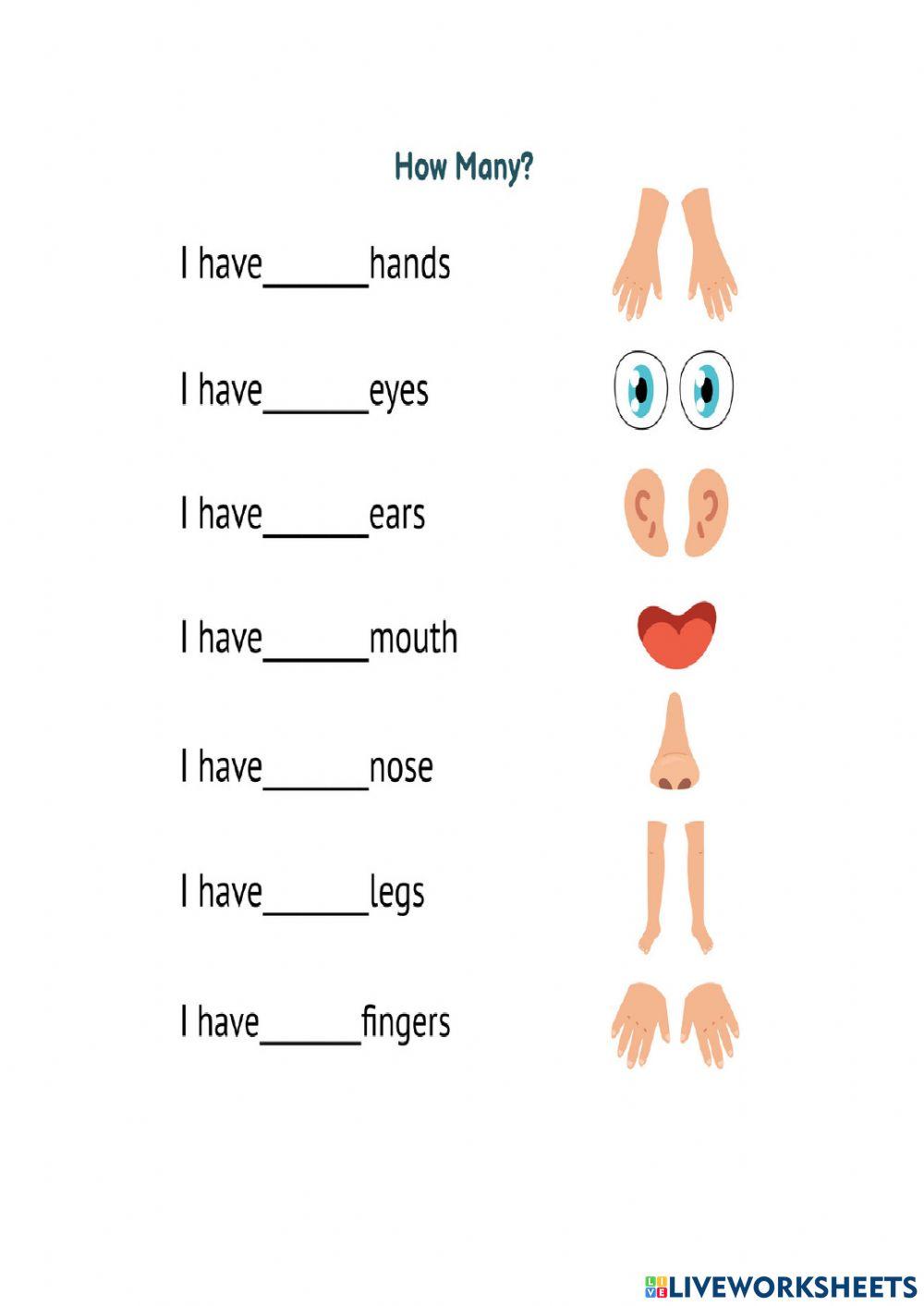 Human body parts online pdf worksheet | Live Worksheets