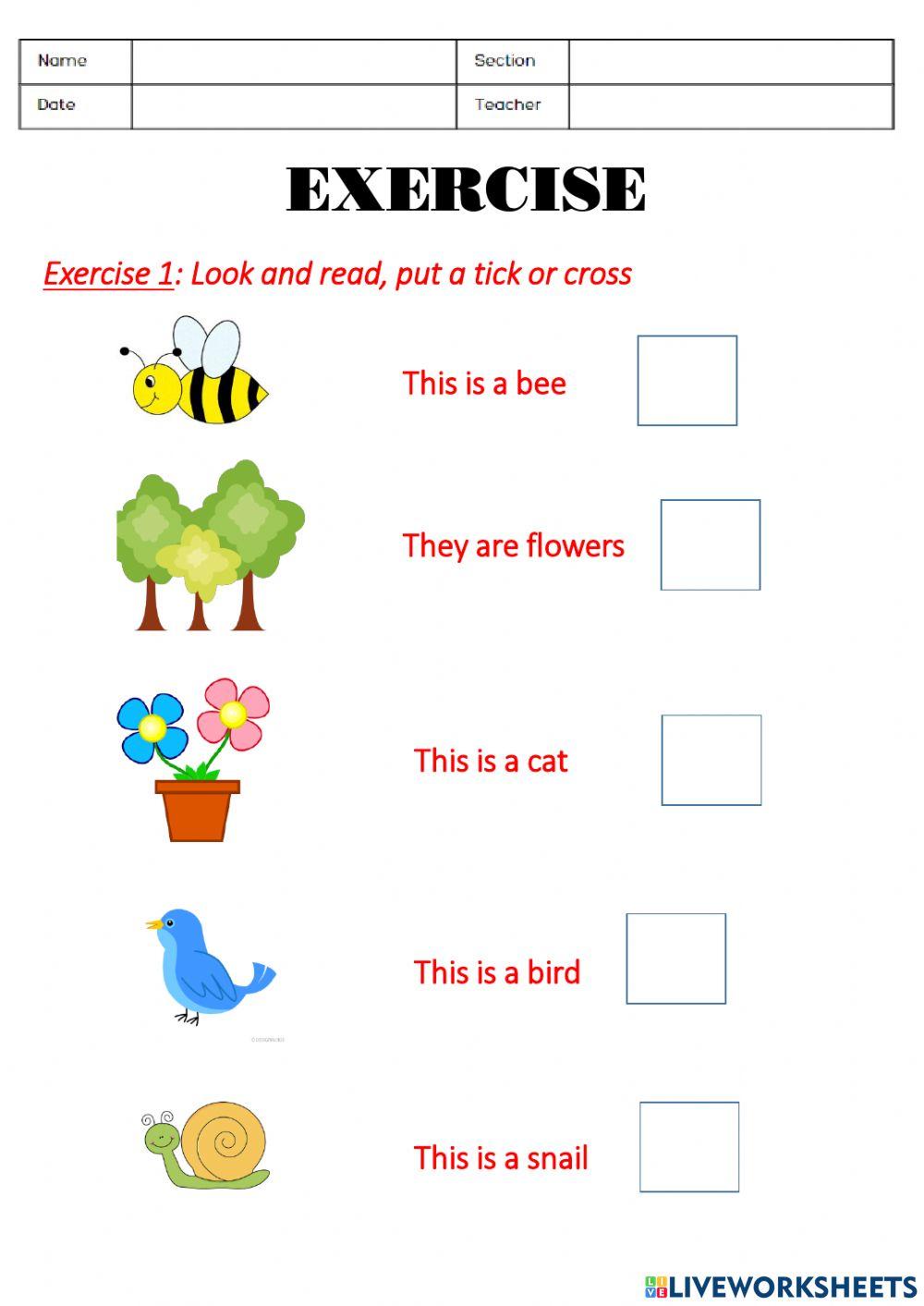 Kid worksheet online worksheet for 1 | Live Worksheets