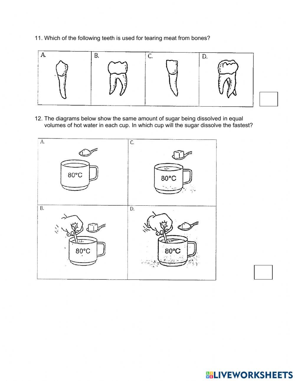 Diagnostic test (question 11 - 20) worksheet | Live Worksheets
