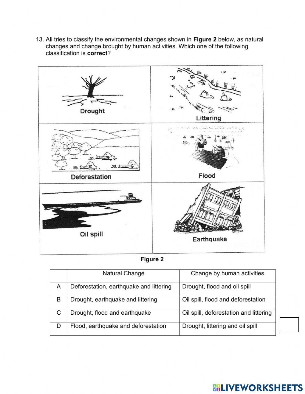 Diagnostic test (question 11 - 20) worksheet | Live Worksheets