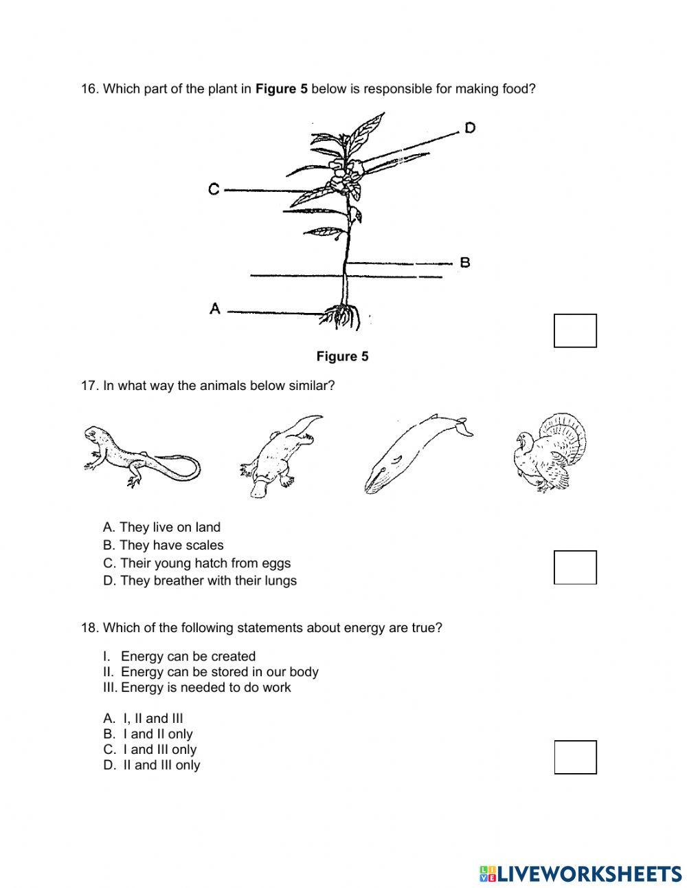 Diagnostic test (question 11 - 20) worksheet | Live Worksheets
