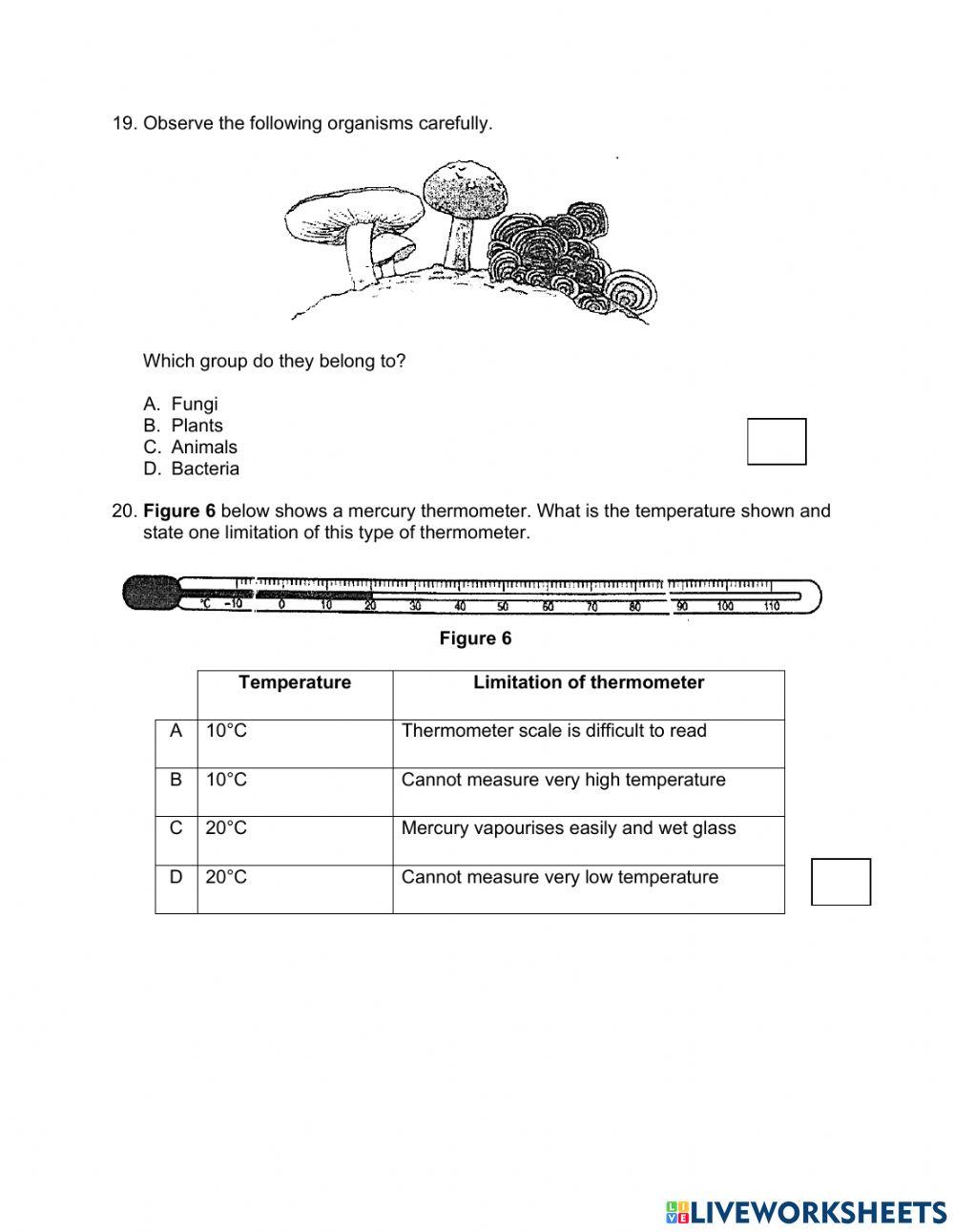 Diagnostic test (question 11 - 20) worksheet | Live Worksheets