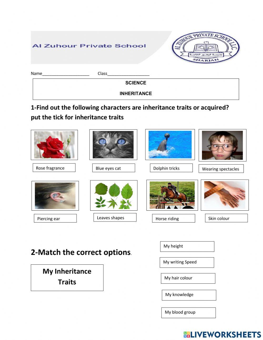 live worksheet science online exercise for | Live Worksheets