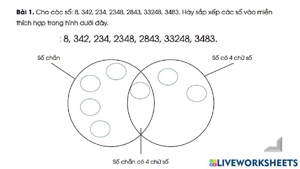 Gfdxz worksheet | Live Worksheets