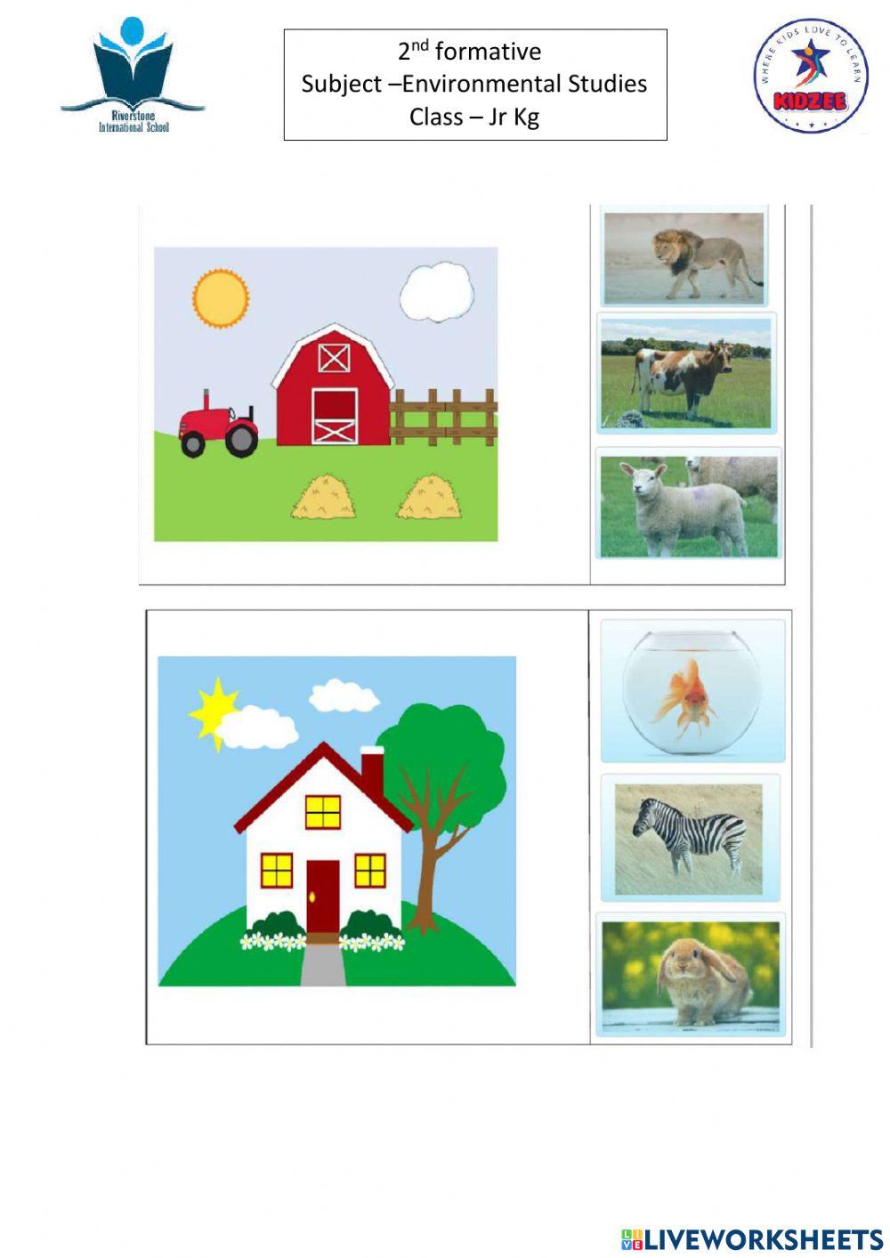Jr Kg EvS Worksheet Live Worksheets jr-kg-evs-worksheet-live-worksheets