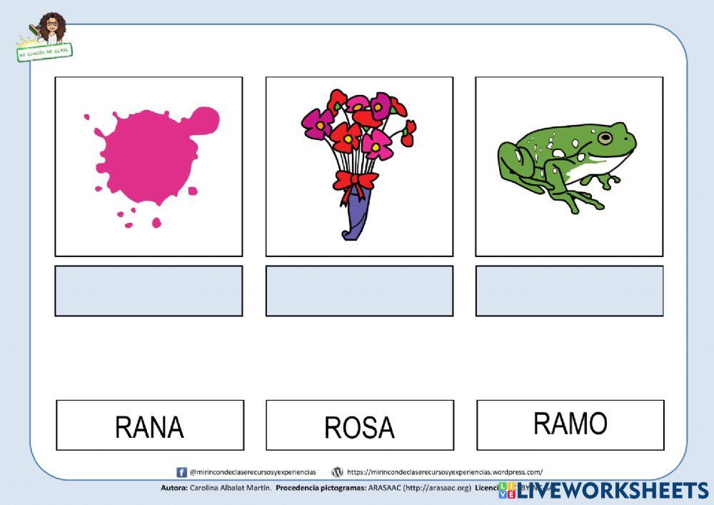 Rosa, ramo, rana worksheet | Live Worksheets