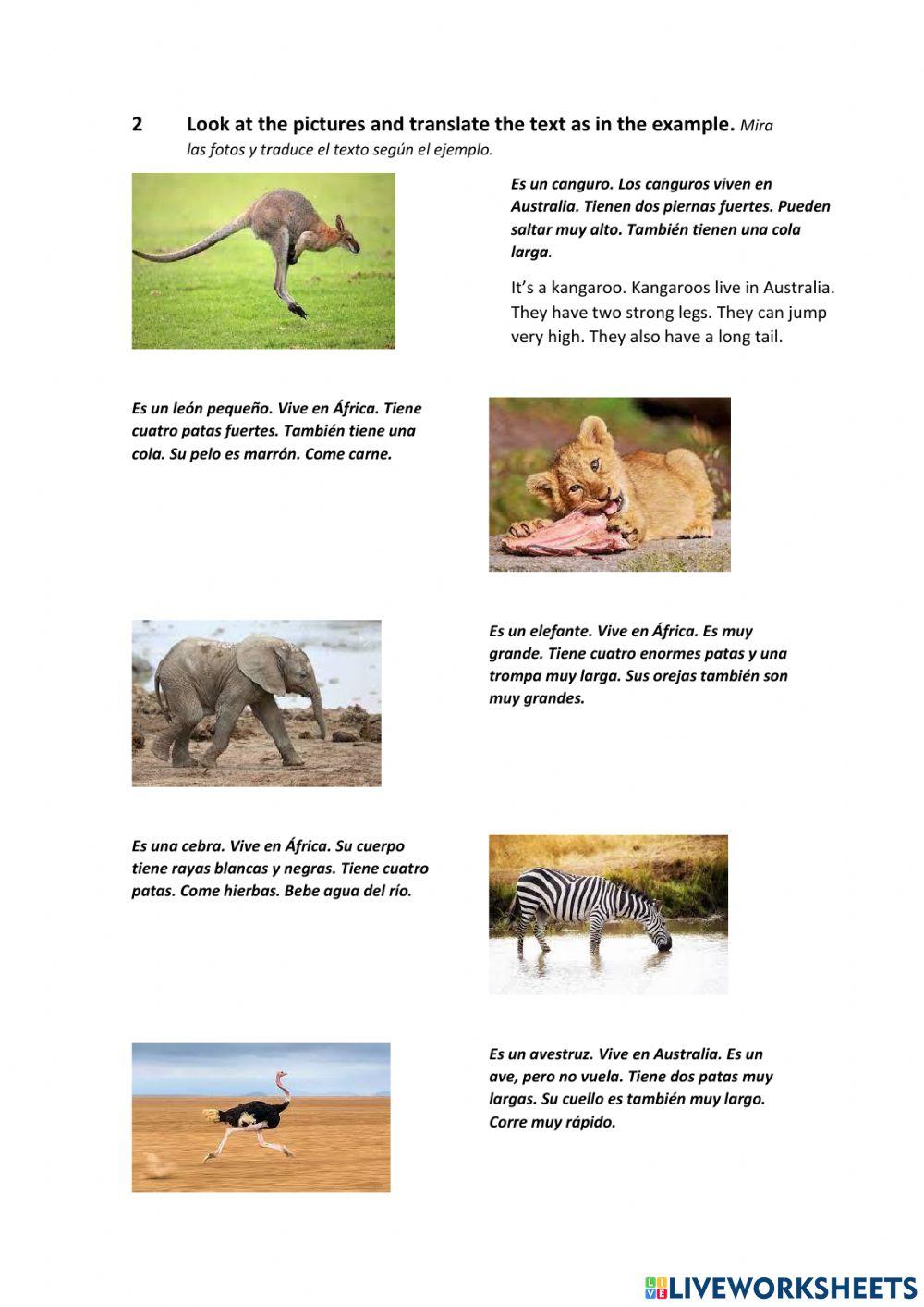 Translation - A… | Free Interactive Worksheets | 1800243