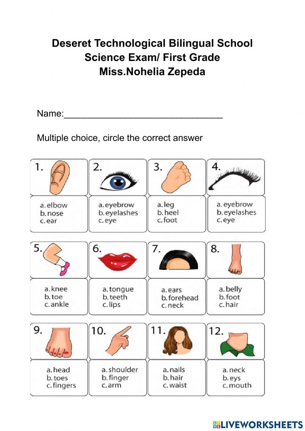 Science exam online pdf worksheet | Live Worksheets