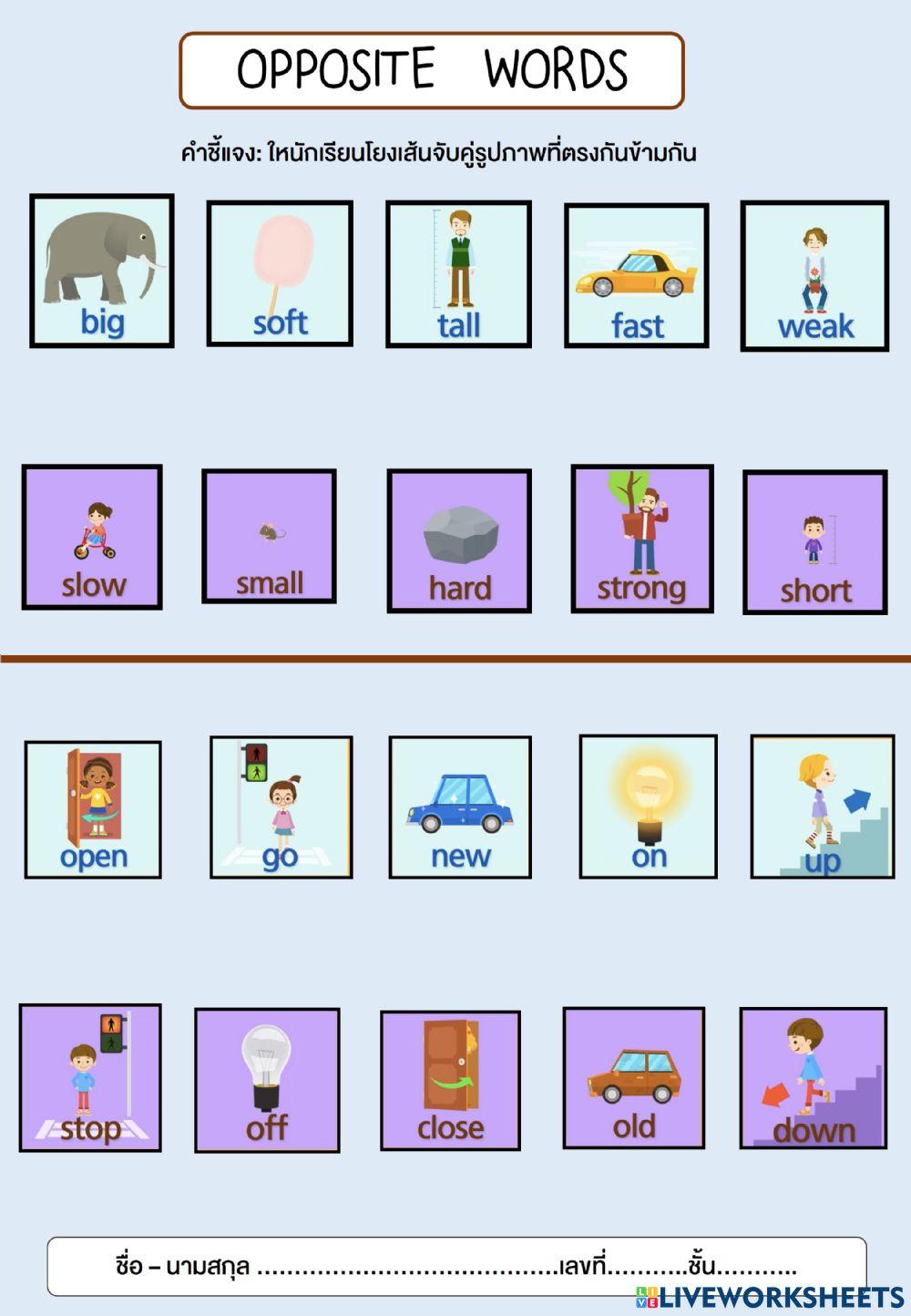 Opposite words exercise for ประถมศึกษา | Live Worksheets