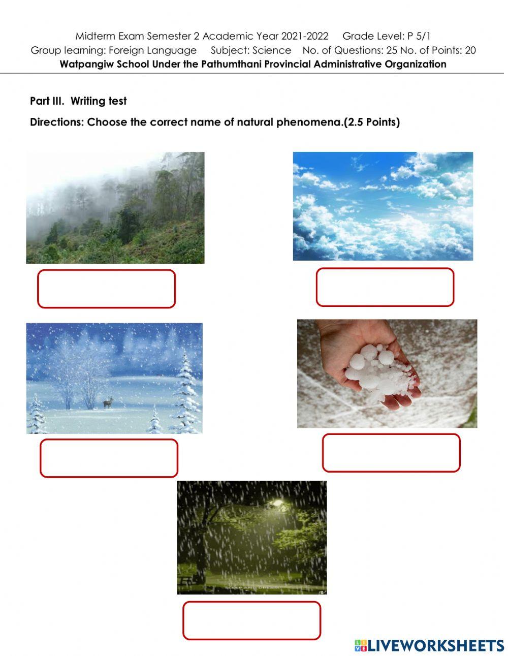 P5-1 science midterm test worksheet | Live Worksheets