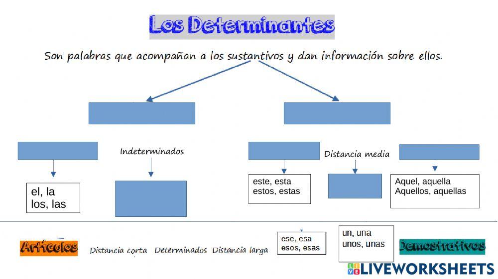 Determinantes worksheet for 4º | Live Worksheets