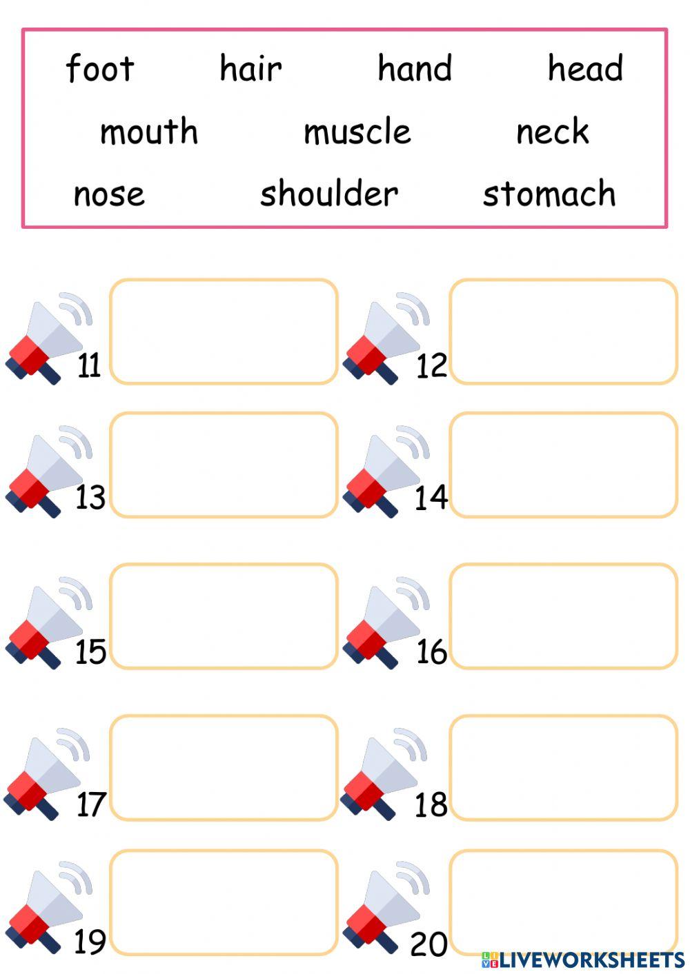 Drag and drop body words. worksheet | Live Worksheets