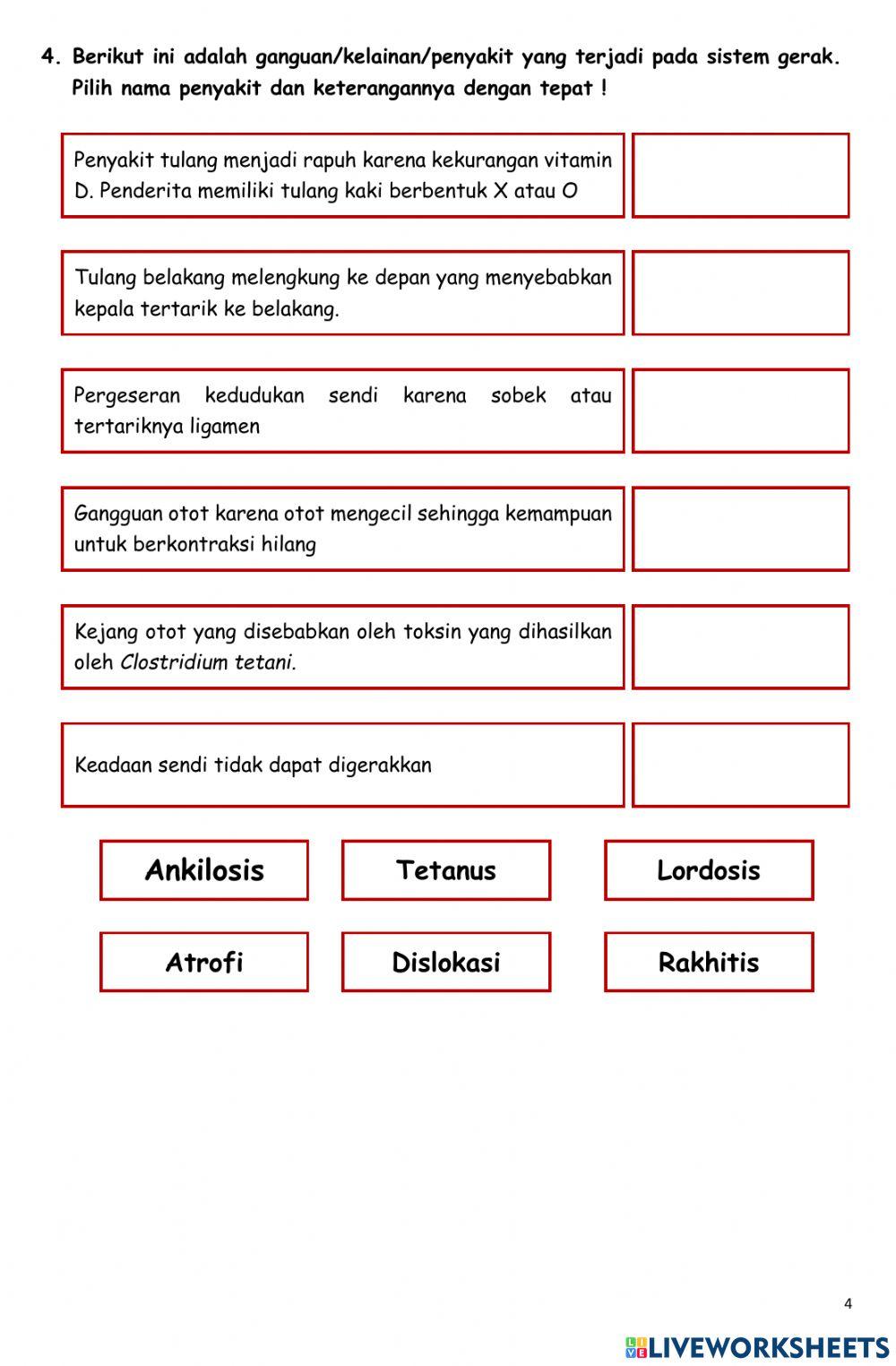 Lkpd biologi gangguan sistem gerak worksheet | Live Worksheets