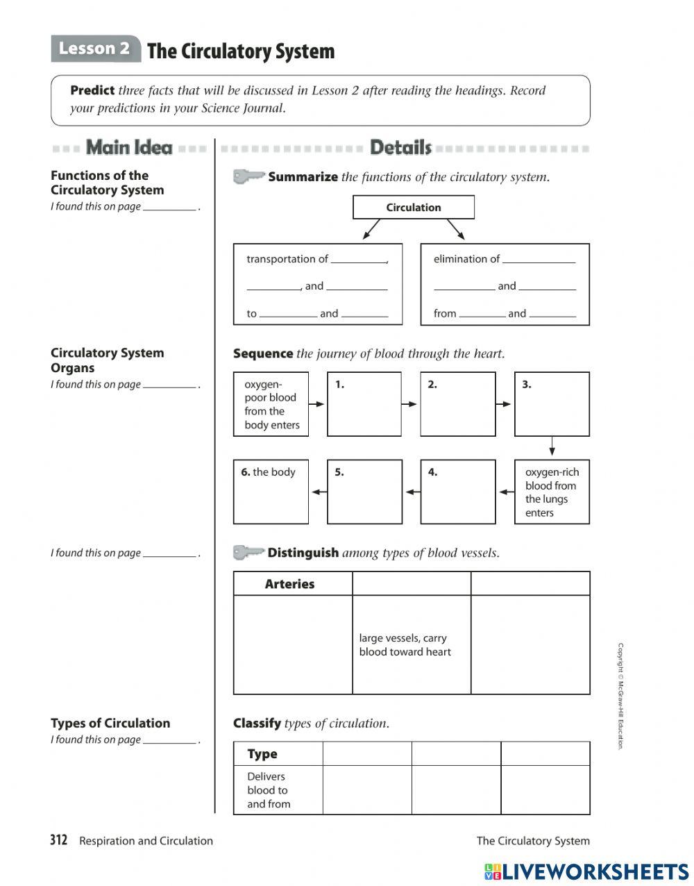 Circulatory System Quiz online exercise for | Live Worksheets
