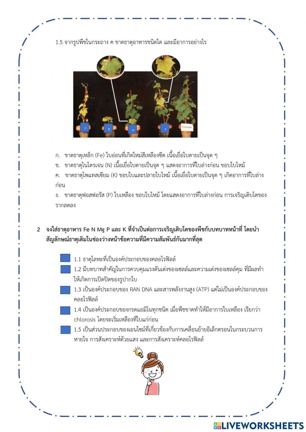 ใบงานที่ 1 การลำเลียงธาตุอาหาร Online Exercise For Live Worksheets