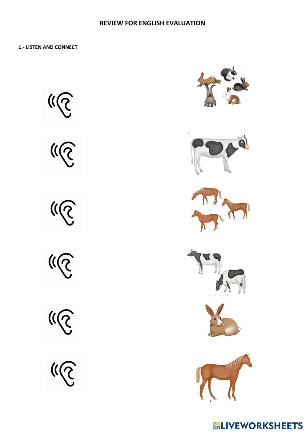 Review for evaluation 2 worksheet | Live Worksheets