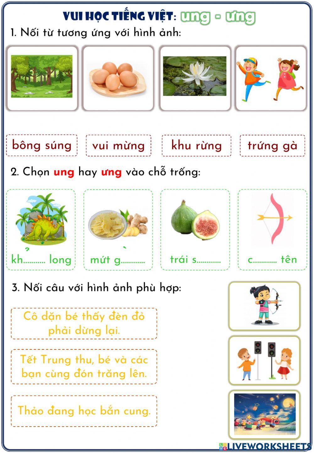 Phiếu ôn tập un… | Free Interactive Worksheets | 1911318