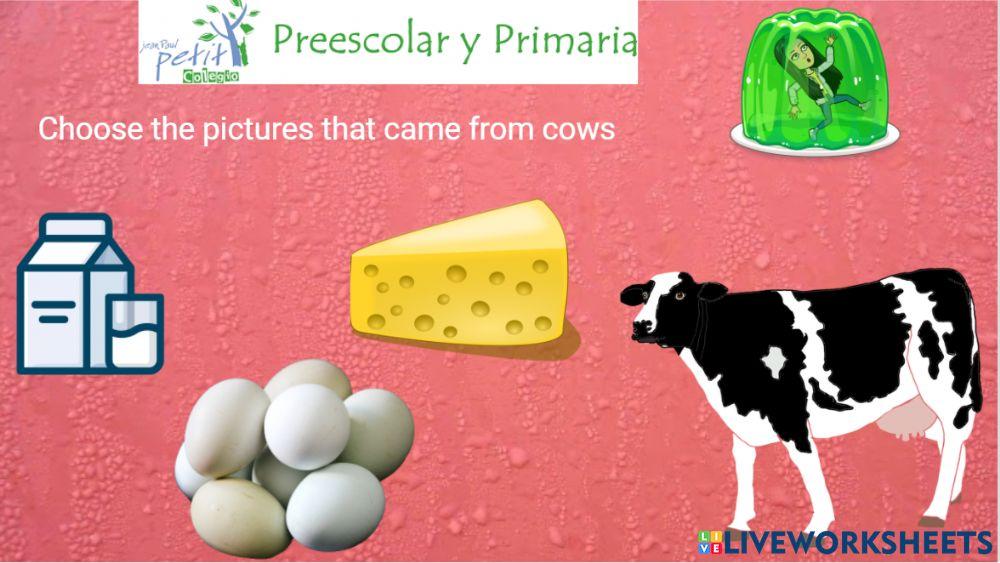 Dairy products | Free Interactive Worksheets | 1807388