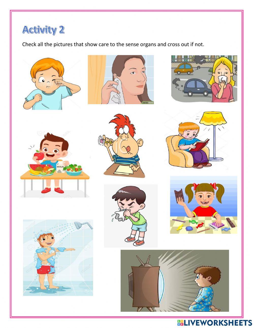 Care Of Sense Organs Worksheet Live Worksheets, 46% OFF Care Of Sense Organs Worksheet Live Worksheets, 46% OFF