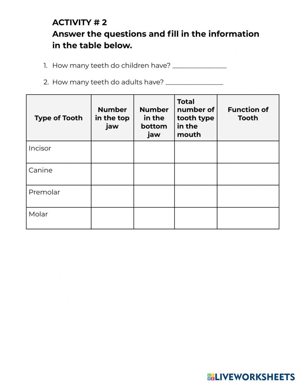 Sets of Teeth worksheet | Live Worksheets