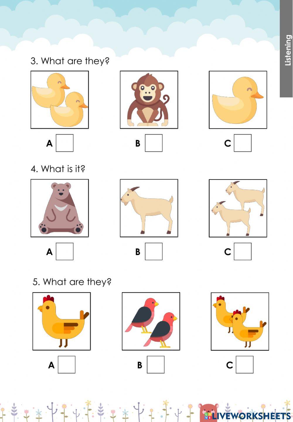 worksheet | Live Worksheets