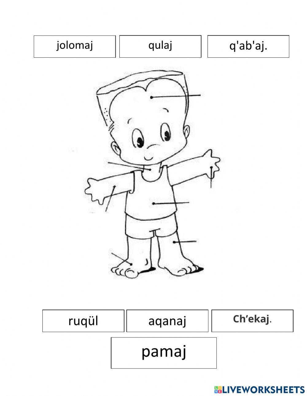 Partes Del Cuerpo Kaqchikel Worksheet Partes Del Cuerpo Cuad Partes Del Cuerpo Kaqchikel Worksheet Partes Del Cuerpo Cuad