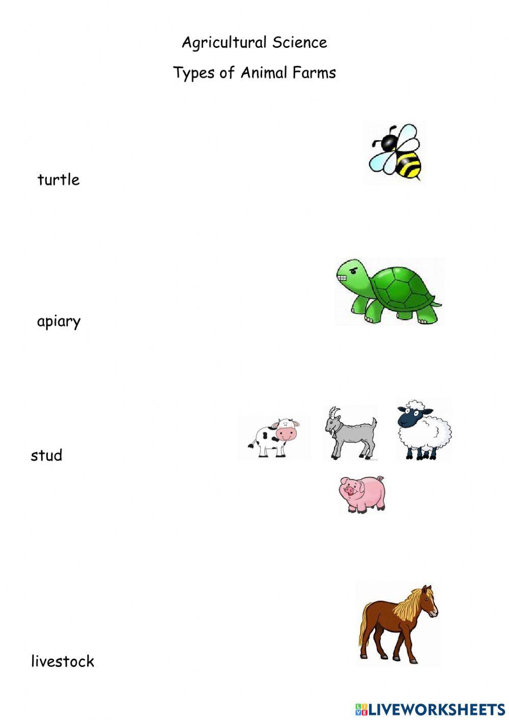 Types of farms online exercise for | Live Worksheets