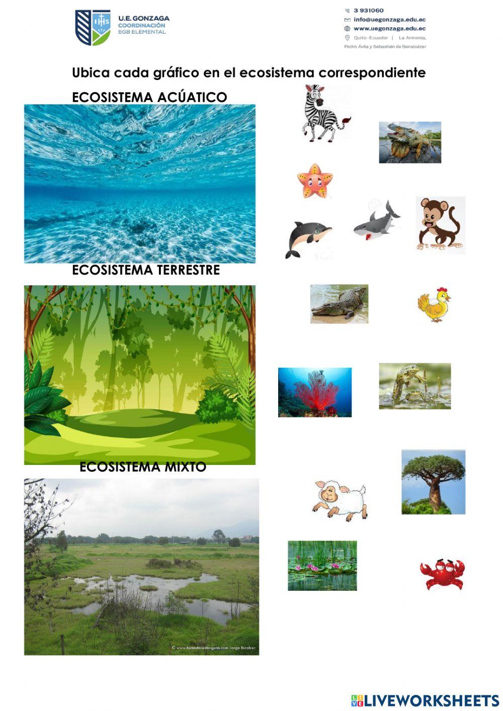 3531600 | Ecosistemas | susienriquez | LiveWorksheets