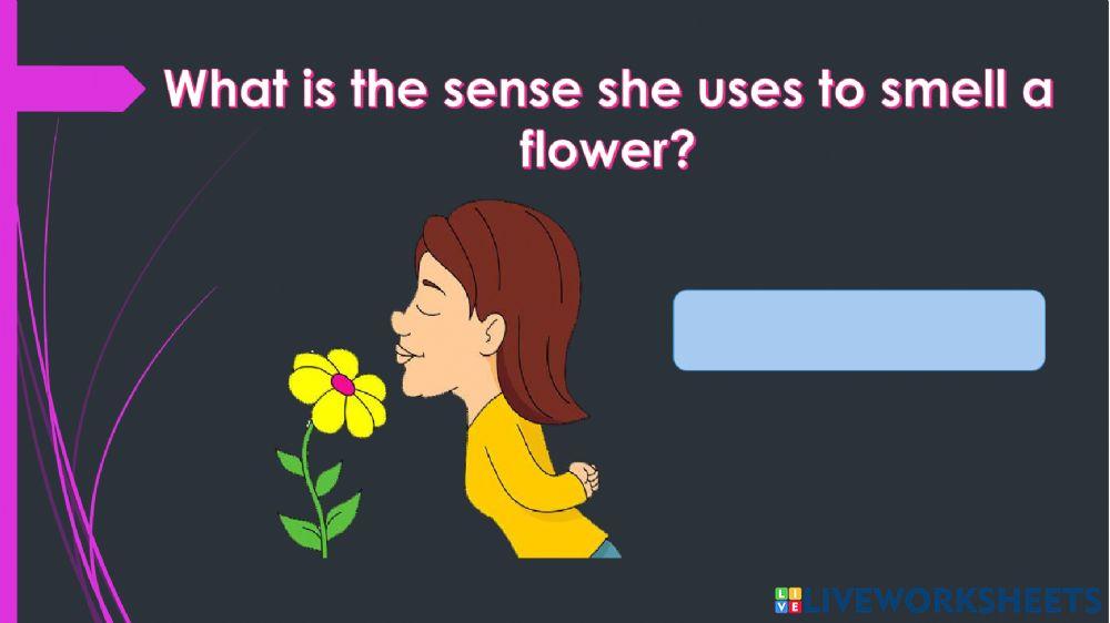 The five senses online exercise for | Live Worksheets