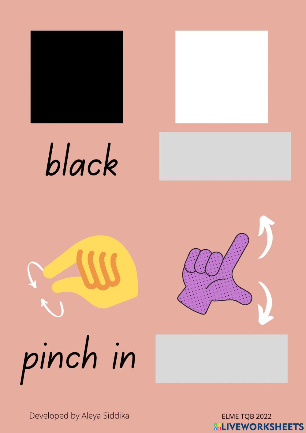 Activity on Zoom online exercise for | Live Worksheets