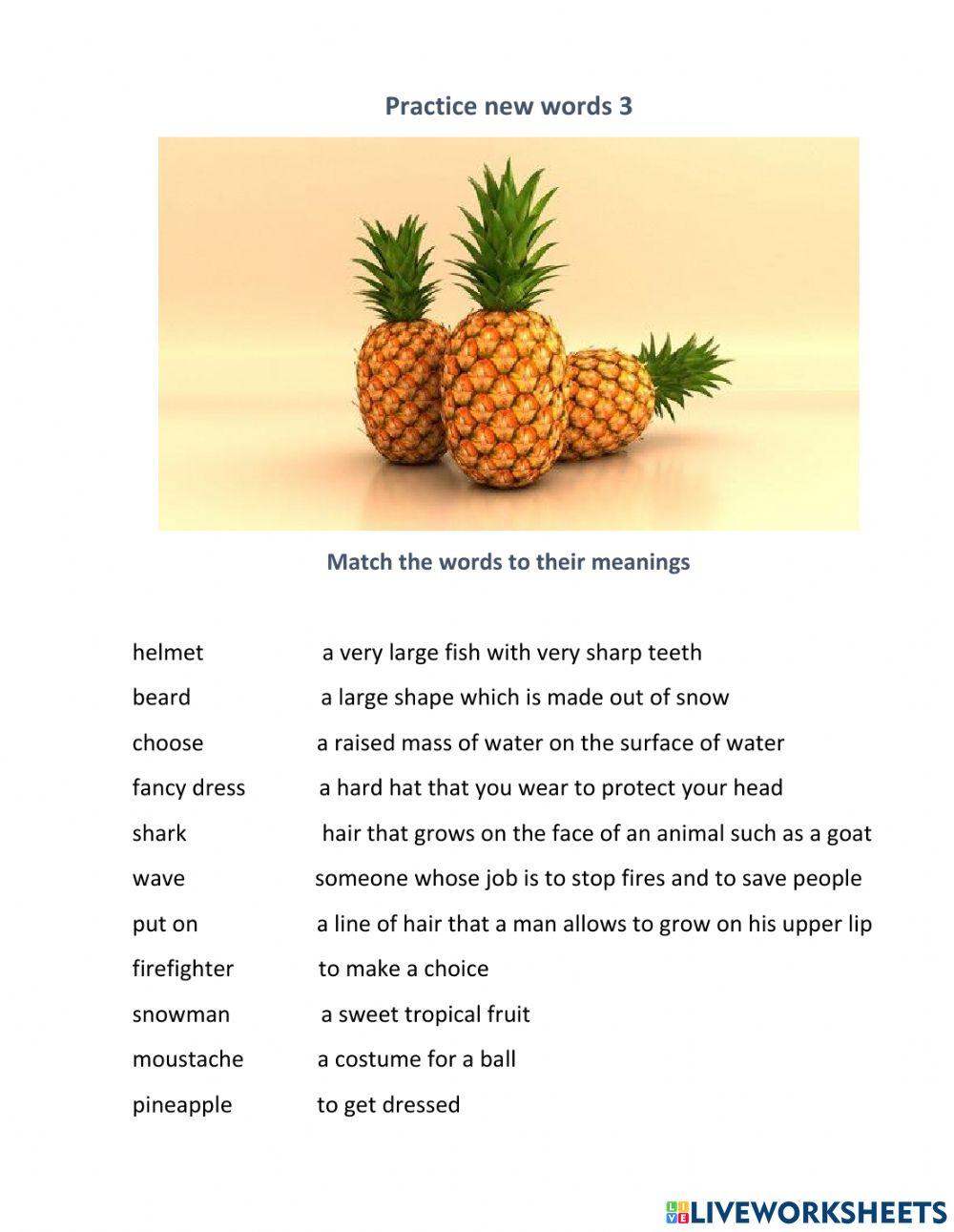 Practice new words3 worksheet | Live Worksheets